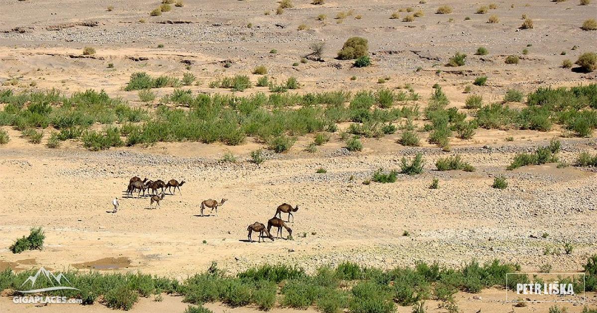 Drive through valley of Draa - Along the longest river in Morocco ...